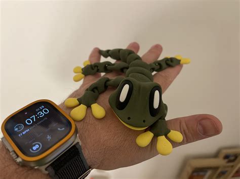 3d Printed Blob Gecko Magnetic Flexi Fidget Art Toy With Rock • Made With Bambu Lab X1c・cults