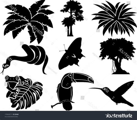 Jungle Icon At Collection Of Jungle Icon Free For