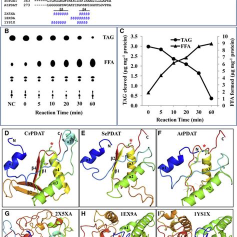 Pdat Activity And Substrate Specificity Of Recombinant Cr Pdat