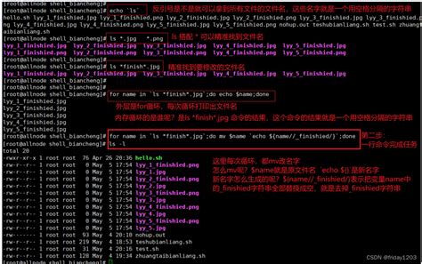 【shell 编程学习笔记】二、基础概念2exac命令 Csdn博客