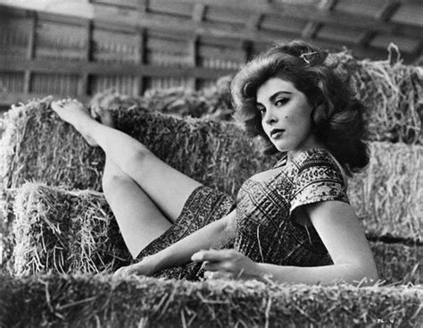 Tina Louise 1960s Ilovedamsels1962 On Tumblr