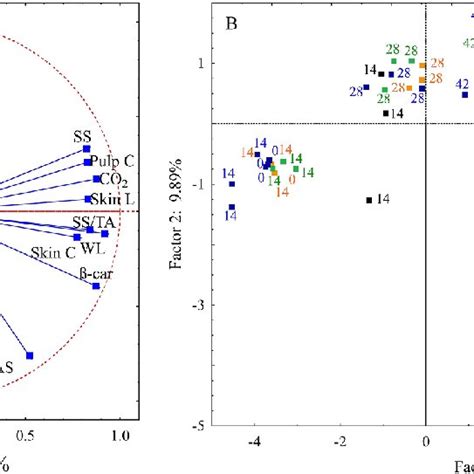 Principal Component Analysis Pca Factor Loading Plot Of