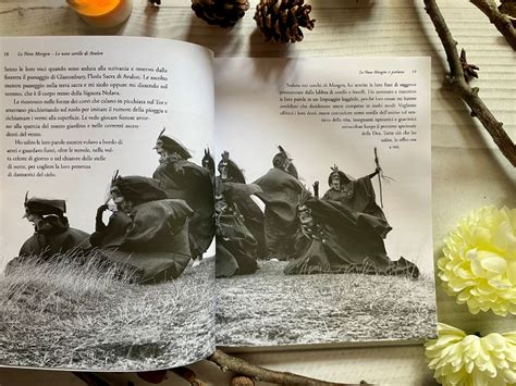 Le Nove Morgen Le Nove Sorelle Di Avalon Venexia Elisabetta Barberio