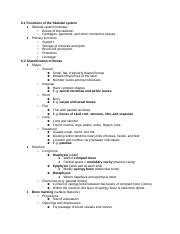 Chapter 6 Functions Of Skeletal System Docx 6 1 Functions Of The Skeletal System Skeletal