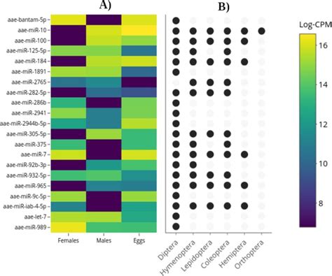 Differential Expression Of 21 Mirnas In Female Male And Eggs From Ae Download Scientific