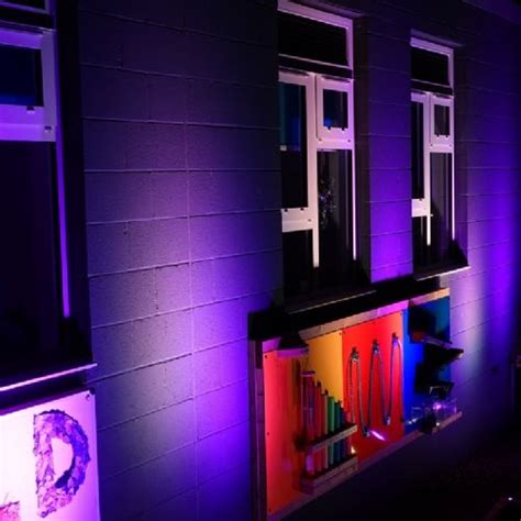 Moor House School And College Moor House Turns Purple And Yellow For Dld