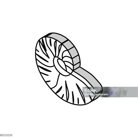 노틸러스 바다 조개 해변 아이소 메트릭 아이콘 벡터 일러스트 레이 션 가리비에 대한 스톡 벡터 아트 및 기타 이미지 가리비 굴 나선형 Istock