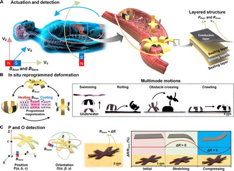 Magnetic Actuated Robot With In Situ Reprogrammable Multimode Movements