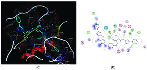A Three Dimensional Binding Mode Of 15 Green Sticks B 2d Binding
