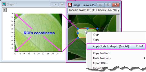 help online origin help inserting image into graph