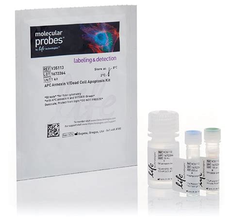 Molecular Probes™ Dead Cell Apoptosis Kit With Annexin V Apc And Sytox™ Green For Flow
