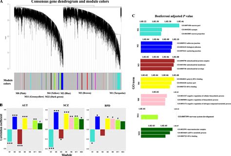 A The Clustering Tree Dendrogram Of Genes And The Identified Download Scientific Diagram