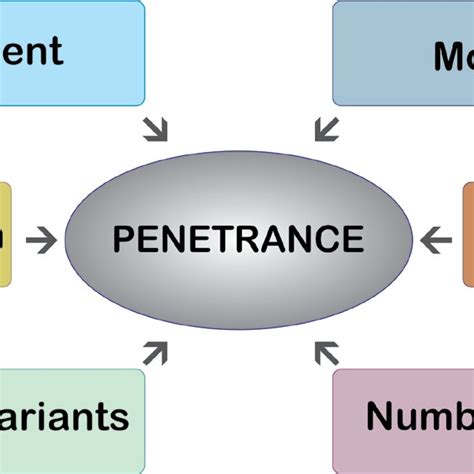 Some Factors That May Modulate The Clinical Penetrance Of A Pathogenic Download Scientific