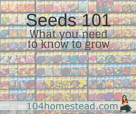 Your Guide To Reading And Understanding A Seed Packet
