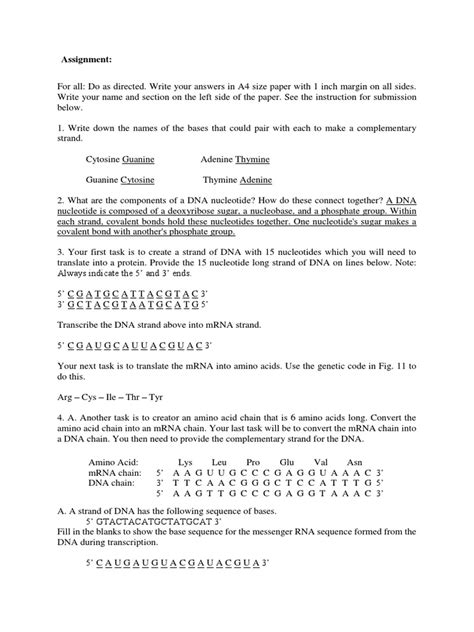 Dna Replication Transcription And Translation Pdf Dna Nucleotides