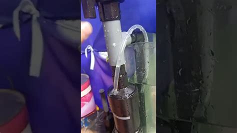 Cách Lắp Overflow Cho Bể Cá Dùng Lọc Tràn Dưới Youtube