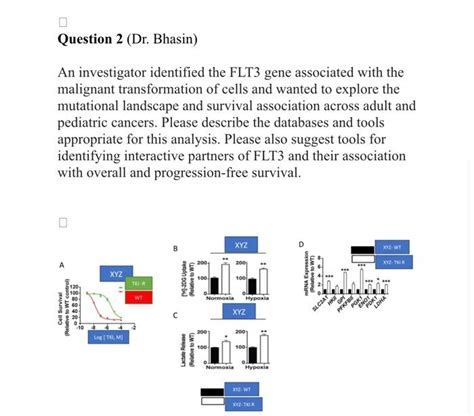 An Investigator Identified The Flt3 Gene Associated