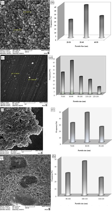 sem images and particle size distribution graphs of nanoparticles