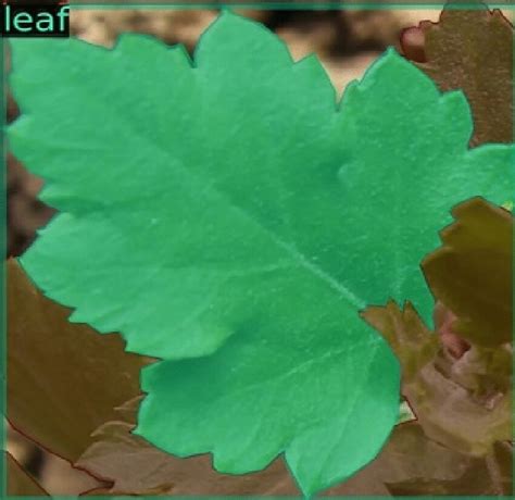 Visualization Results Of The Occlusion Relation Download Scientific Diagram