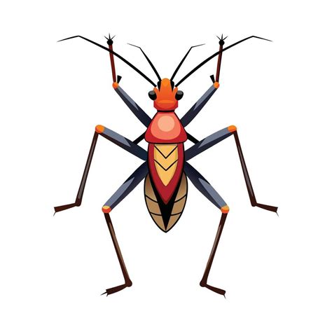 Engaging Assassin Bug Illustration For Science Learning 58981026 Vector