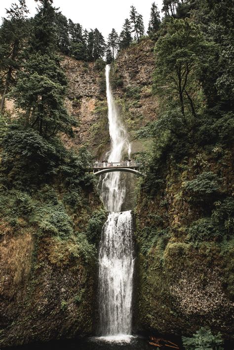 Fotos Gratis árbol Bosque Cascada Puente Formación Cuerpo De