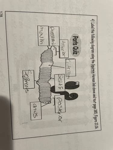Exam Bio Flashcards Quizlet
