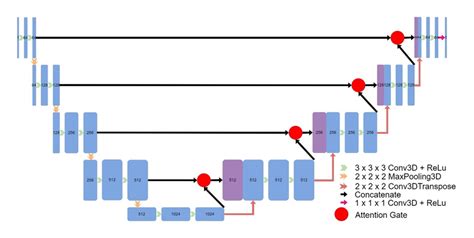 Architecture Of Attention Unet The Blue Rectangles Represent The Download Scientific Diagram
