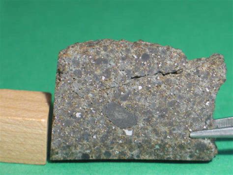 Mount Tazerait L5 Chondrite Meteorites For Sale