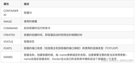 Docker从入门到精通 Csdn博客