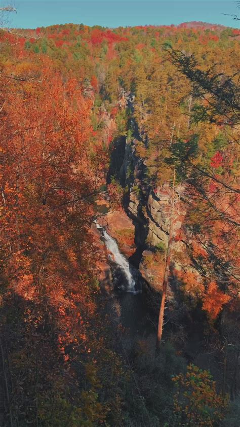 Fall Foliage At Tallulah Falls Georgia A Perfect Fall Hike Fall