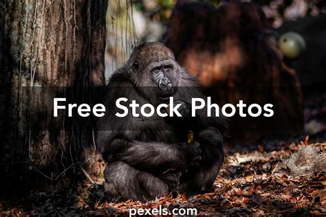 Bakjaywallpaperforlaptop Photos Download The Best Free Bakjay