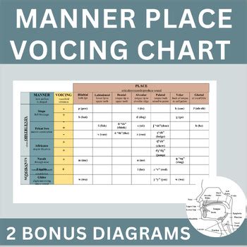 Manner Place Voicing Chart And Articulation Diagrams Slp Handouts