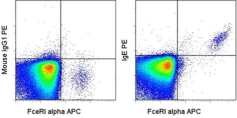 Human Ige Monoclonal Antibody Ige21 Pe 12 6986 42