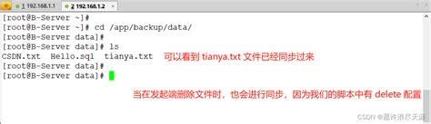使用 Rsync 实现远程同步，以及实时同步rsync实时备份 Csdn博客