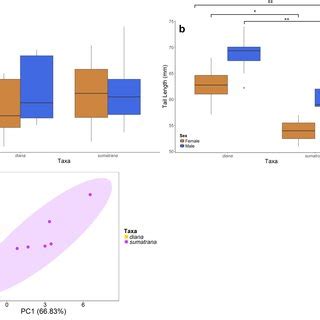 Sex Specific Box Plots Of Morphometric Measurements Of A Bill Length Download Scientific