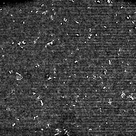 Computer Vision Blob Detection On Noisy Low Resolution Image With Background In Matlab