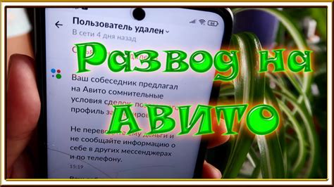 Развод на АВИТО/Как обманывают продавцы растений с АВИТО - YouTube