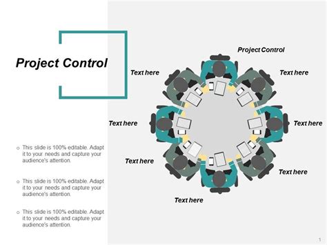 Project Control Ppt Powerpoint Presentation File Design Ideas Cpb Presentation PowerPoint