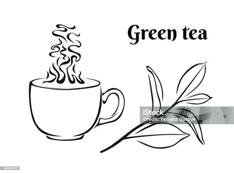 김이 모락모락 나는 차와 가지 하얀 배경에 차 잎이 분리된 컵 벡터 간단한 흑백 개요 그림입니다 아이콘 찻잔과 차 식물의 잎에 뜨거운 음료 검은색에 대한 스톡 벡터 아트 및