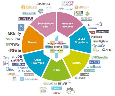Multimolecule Rnacentral · Datasets At Hugging Face