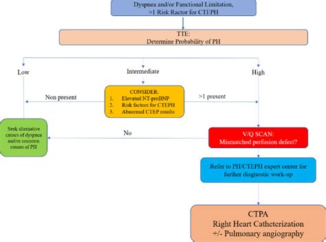 Recommended Diagnostic Algorithm For Chronic Thromboembolic Pulmonary Download Scientific