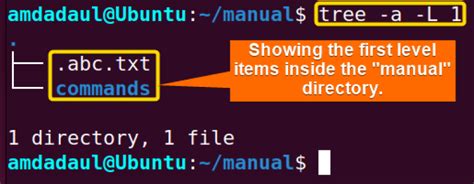 The Tree Command In Linux 12 Practical Examples LinuxSimply