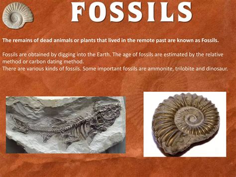 Heridity And Evolution Biology Class 10 Cbse Ppsx