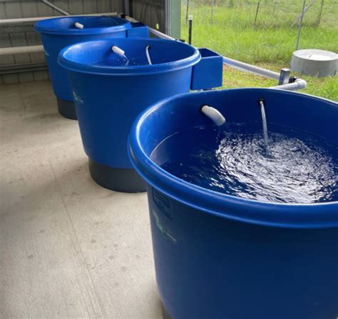 Ras2000 Recirculating Aquaculture Systems 2000l Fresh By Design