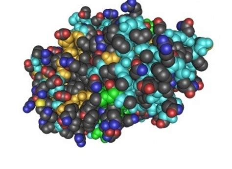 Spray That Can Stop Bleeding Instantly Ibtimes Uk