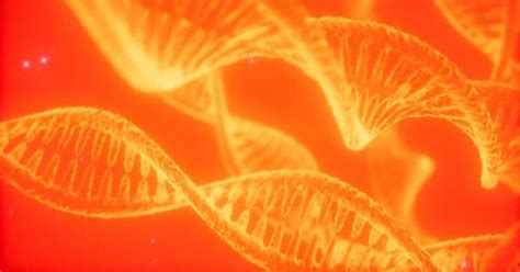 Structure Of The Dna Double Helix Animation