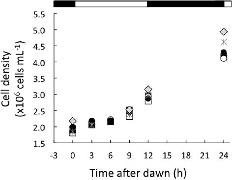 Change In Cell Density Over A Day Night Cycle Data Show The Results Download Scientific