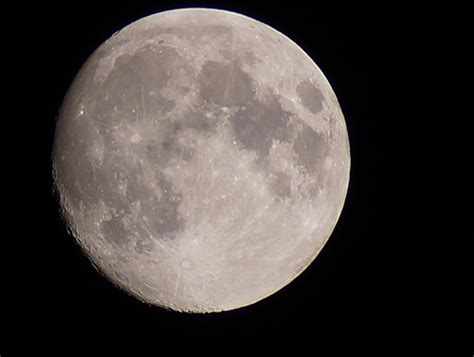 To The Moon Audubon California