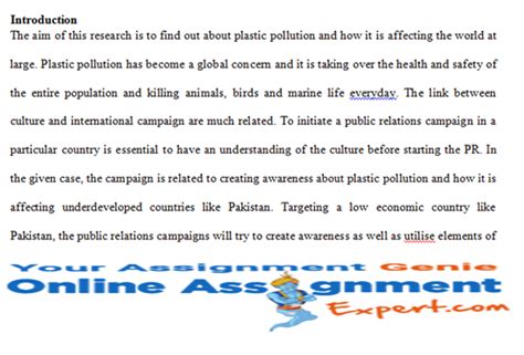 International Relations Assignment Help By Ph D Experts At Online Assignment Expert