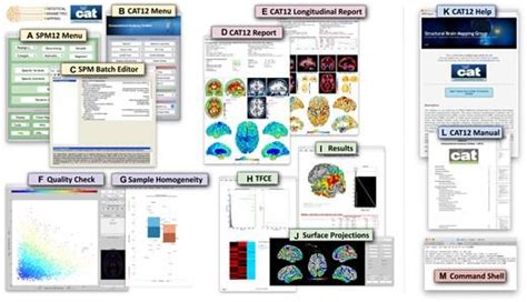 Pattern Cog On Linkedin Cat A Computational Anatomy Toolbox For The